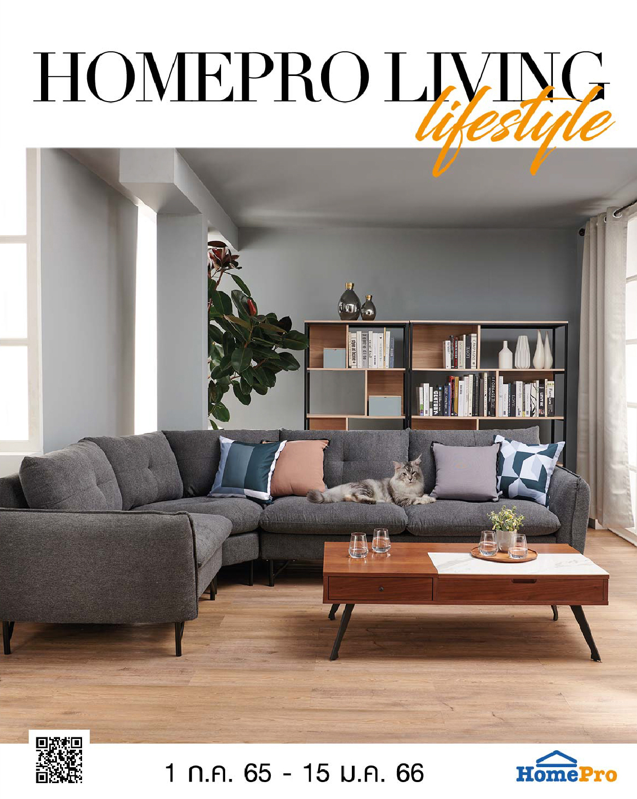 HomePro Ecatalog